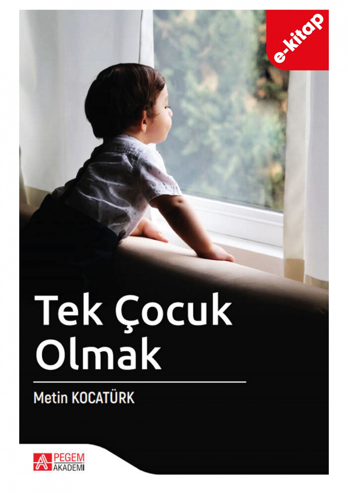 Tek Çocuk Olmak Psikolojik Danışma ve Rehberlik Pegem Akademi ...