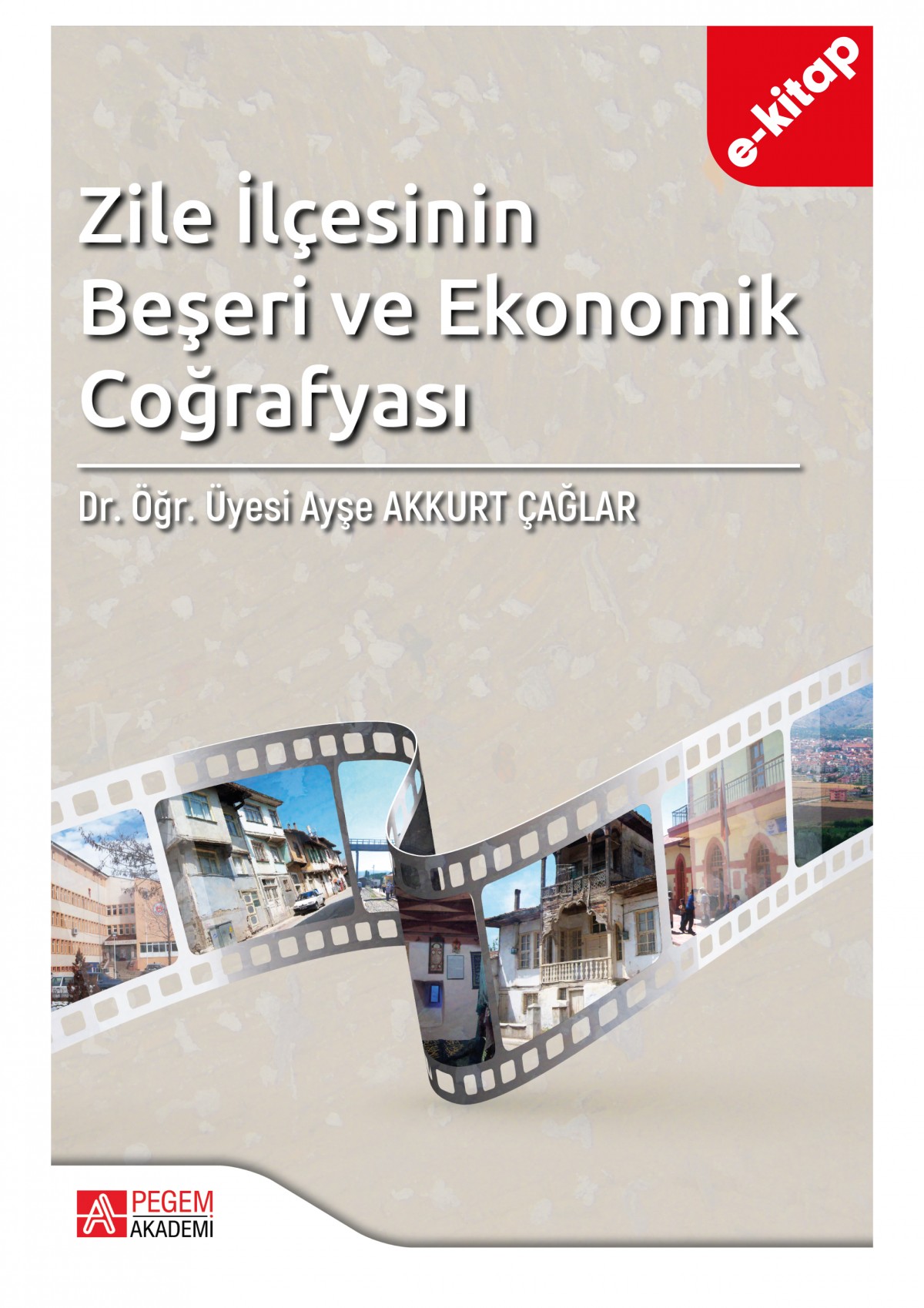 Zile İlçesinin Beşeri ve Ekonomik Coğrafyası Coğrafya Eğitimi Pegem ...